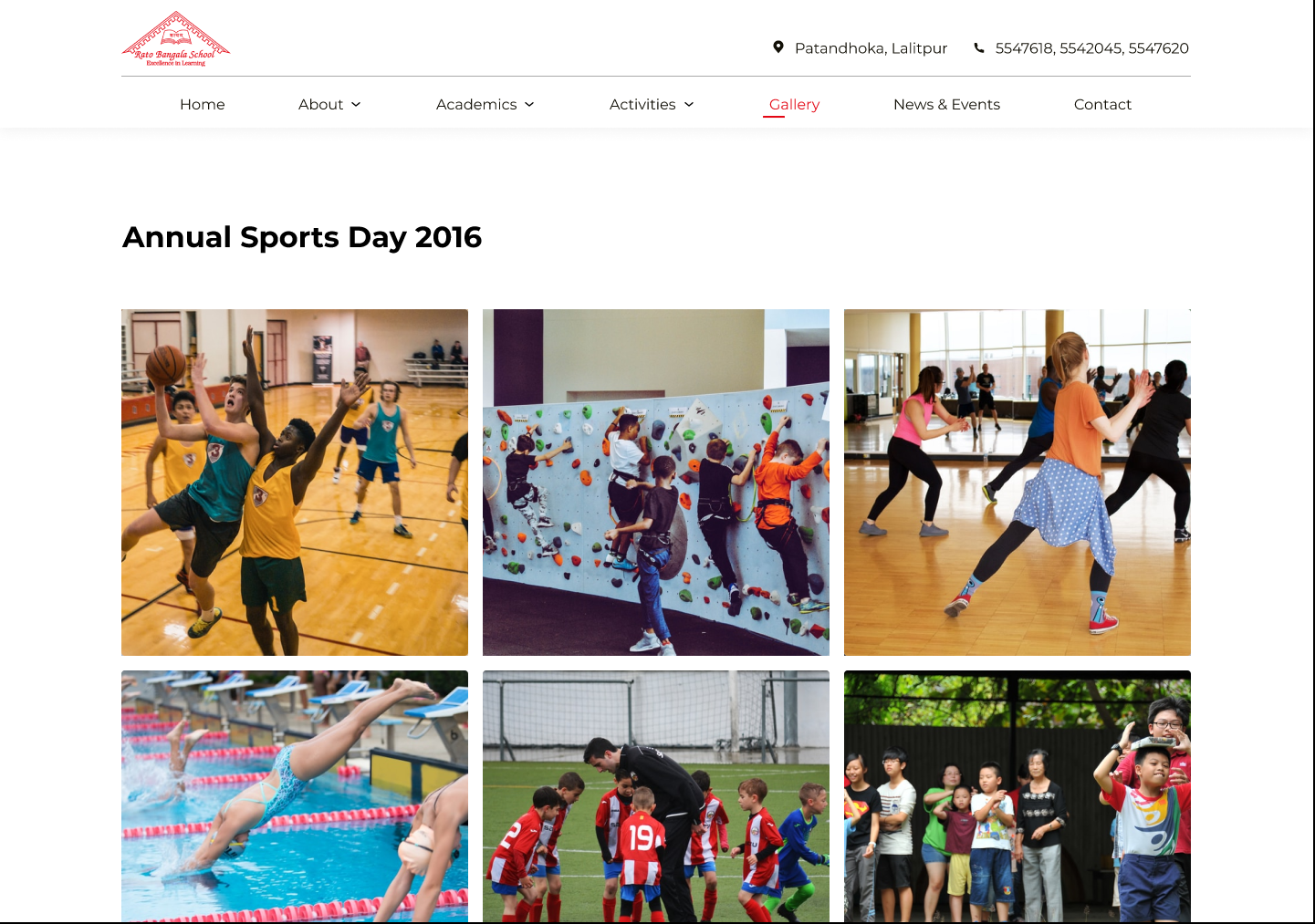 Romisha Shakya Portfolio